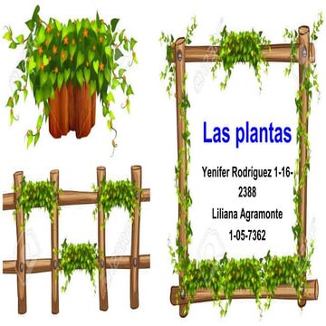 Las plantas (3) | PPTX