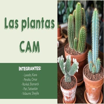 Las plantas CAM (borrador 3).pdf para el | PDF