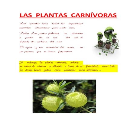 Que necesitan las plantas | PPT