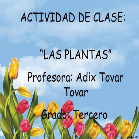 Las plantas, diapositivas | PPT