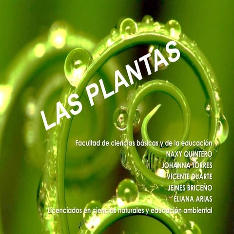 Las plantas diapositivas | PPTX