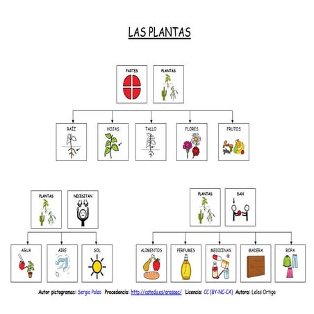 Las plantas mapas_conceptuales | PDF
