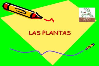 Partes Comestible De La Planta Para Niños De Preescolar, 55% OFF