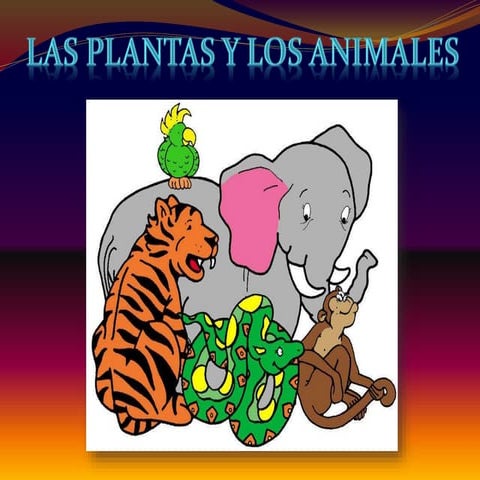 Las plantas y los animales | PPTX