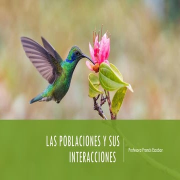 Interrelaciones entre los seres vivos | PDF