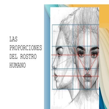 Proporciones Del Rostro Humano Cómo Dibujar Caras Y Expresiones