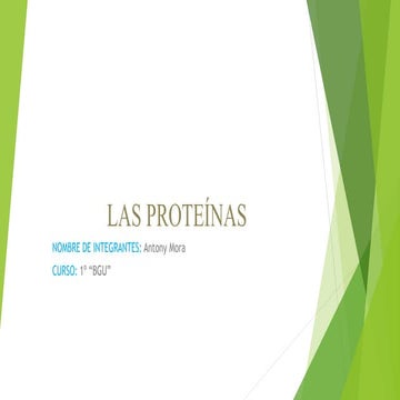 Enzimas, ADN, ARN Original | PPTX