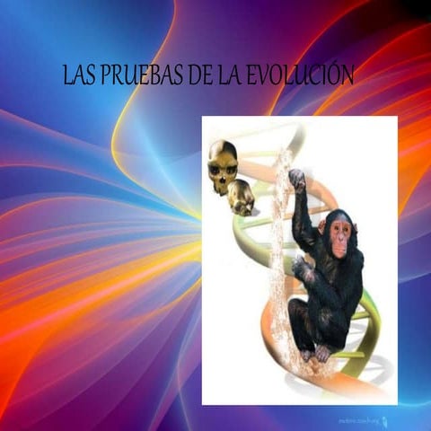 Pruebas de la evolución | PPTX