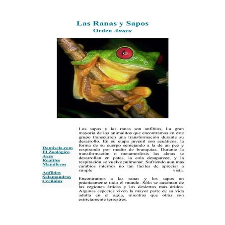 Sapos y ranas. Informacion básica para niñospptx | PPTX
