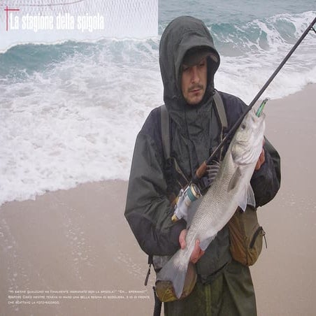 La Stagione Della Spigola | PDF