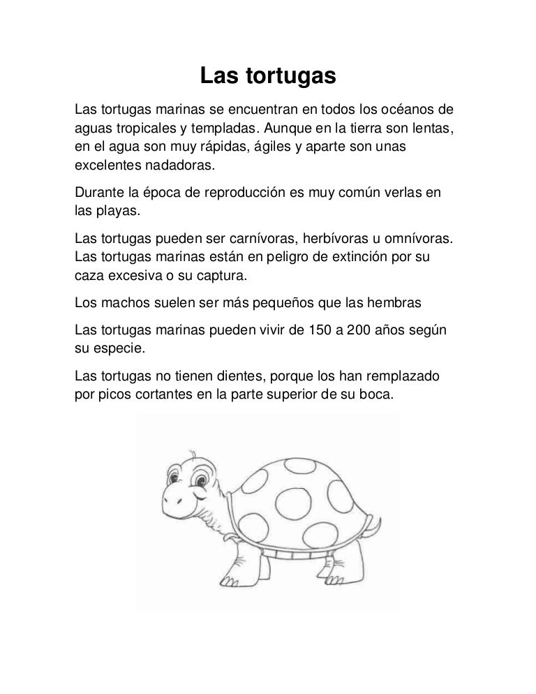 Las tortugas