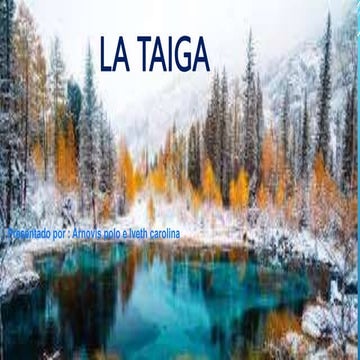 presentación sobre la taiga y sus caracteristicas.pptx