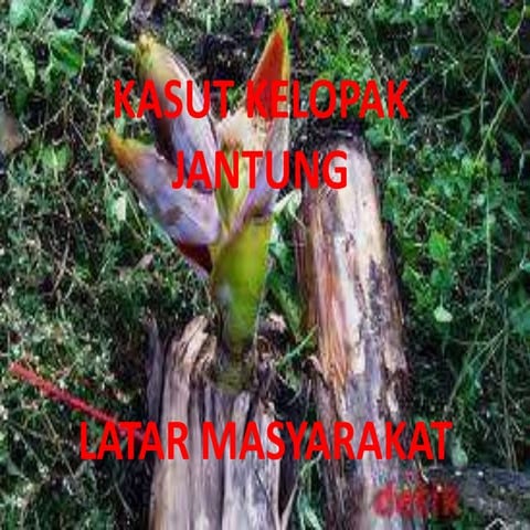 Latar masyarakat | PPTX