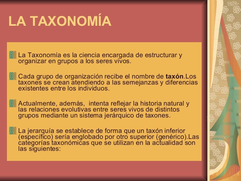 Taxonomia Que Es