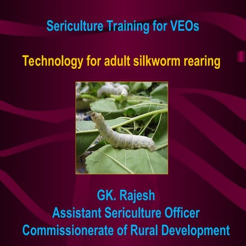 Late Age silkworm Rearing method- Dr. Adlin | PPT