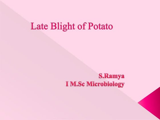 Late Blight of Potato | PPT