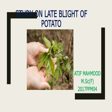 Late blight of potato | PPTX