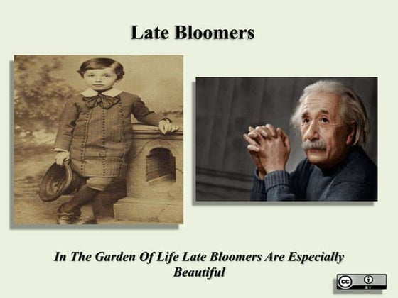 Famous people with disabilities | PPT