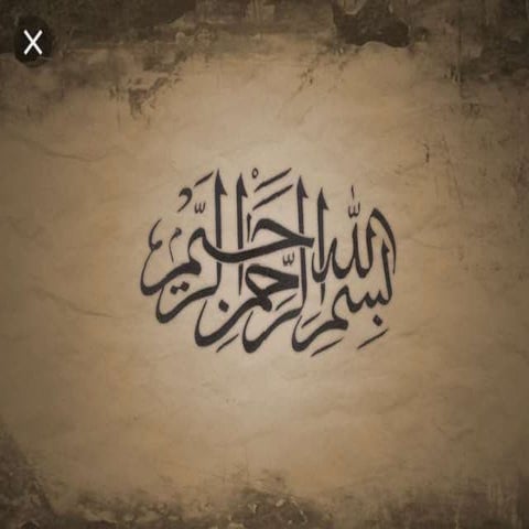 Lateral forearm | PPTX