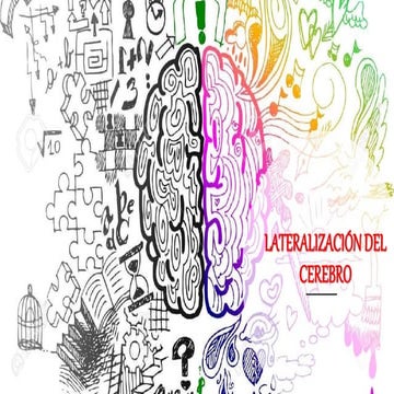 Lateralización del cerebro. | PPTX