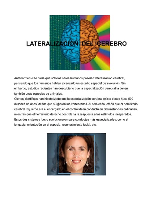 Lateralización del-cerebro | PDF