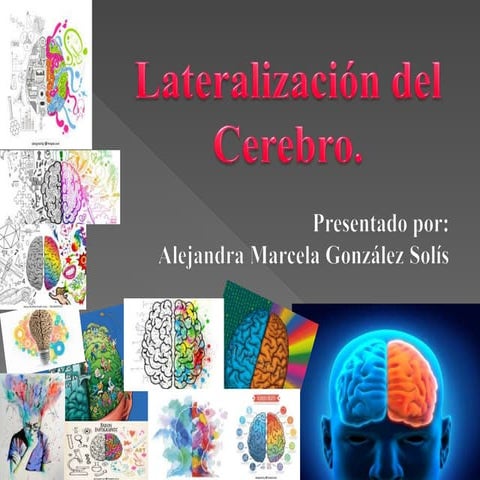 Lateralizacion del cerebro. | PPTX
