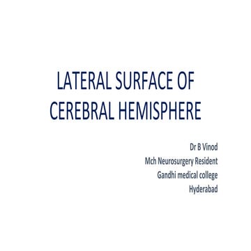 LATERAL SURFACE OF CEREBRAL HEMISPHERE.pptx | Brain and Nervous System ...