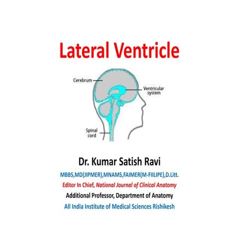 Lateral ventricle - Dr.K.S.Ravi