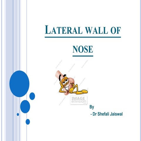 Lateral wall of nose | PPTX