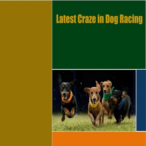 Latest craze in dog racing | PPT | Dogs | Pets