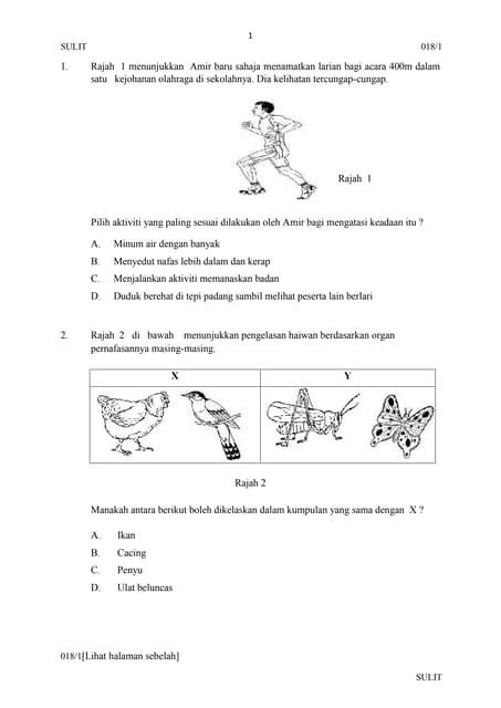 CONTOH SOALAN SAINS TAHUN 3.........docx