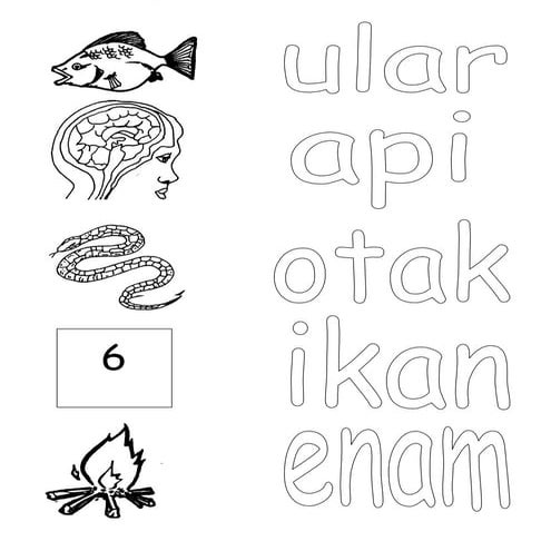 Baca dan salin semula ayat