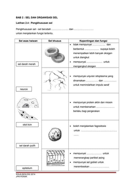 Latihan 2.7 organisasi sel dalam tumbuhan[14 15] | PDF