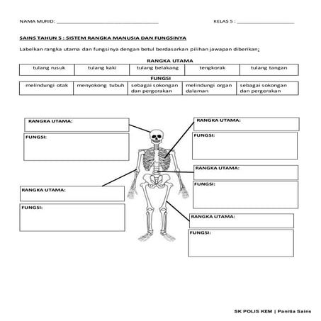 KSSR Sains Darjah 6_Bab Dua: Manusia.pptx