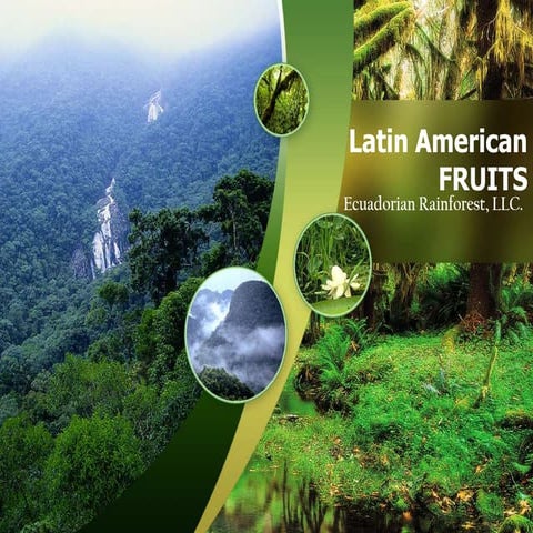 Latin American Series: Fruits | PPTX