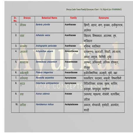 Latin Name Chart-1.pdf aphcyoditssuarjausjtsits | PDF