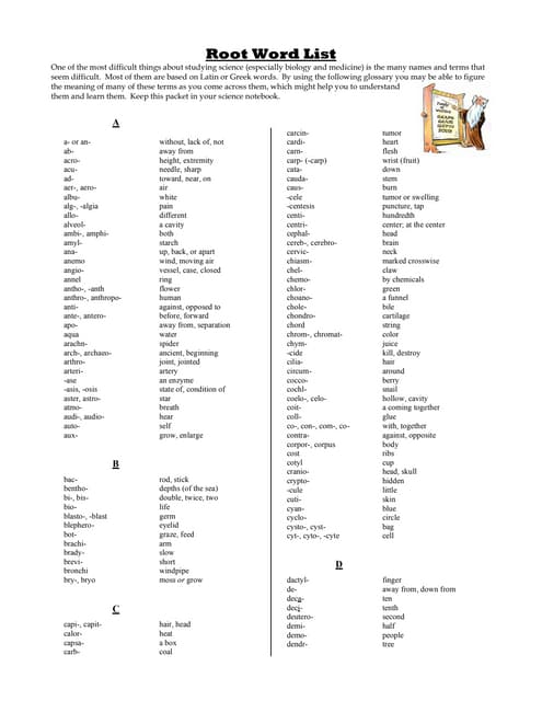 Medical term list | PDF
