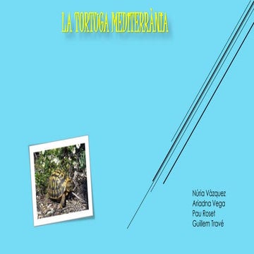 La tortuga mediterrània | PPTX