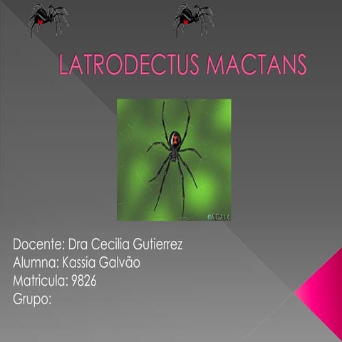 Latrodectus mactans | PPTX