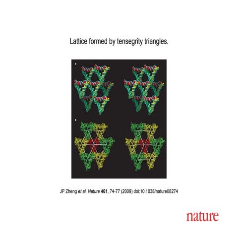 Lattice Formed By Tensegrity Triangles Nature08274 Pf3 | PPT | Physics ...