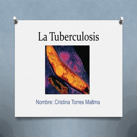 Tuberculosis | ODP