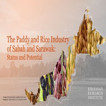The Paddy and Rice Industry of Sabah and Sarawak: Status and Potential ...