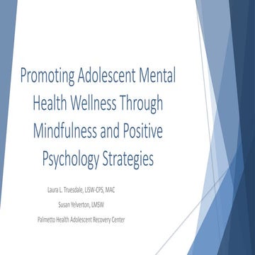 Promoting Adolescent Mental Health Wellness Through Mindfulness and ...