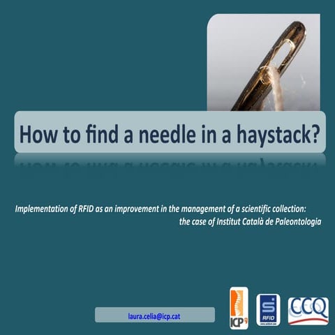 Laura Celia - How to find a needle in a haystack | PPT