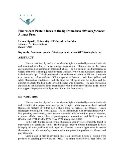 Adaptive radiation in reptiles copy | PPTX