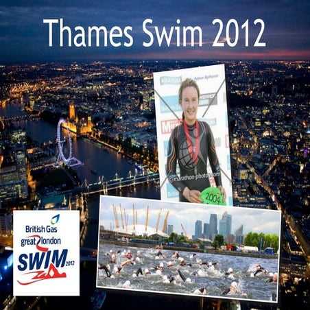 Laura geraghty mylifeasagame | PDF | Dogs | Pets