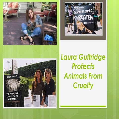 Laura guttridge | PPT