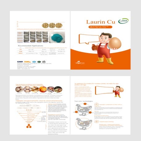 Laurin-Cu Brochure which can effectively treat salpingitis | PDF