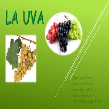La uva. | PPTX