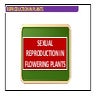 Sexual reproduction in flowering plants | PPT
